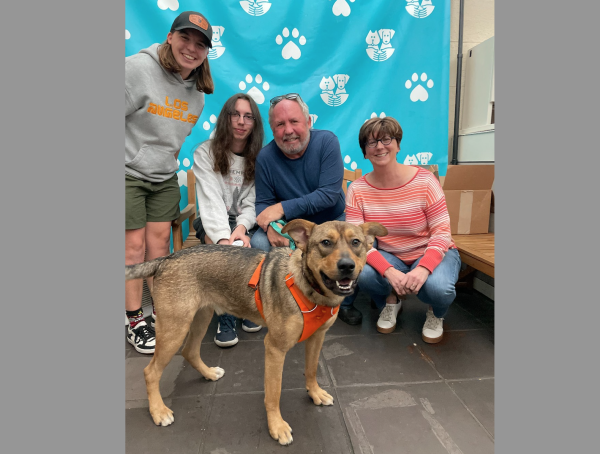 Pasadena Humane resumes pet adoptions